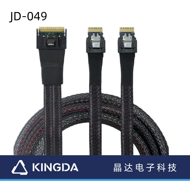 China SAS SFF-8654 8i To 2 Ports SFF-8654 4i Dual SFF-8654 4i Server ...